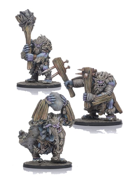 Valkyries (hard-plastic multi-part kit) — Shieldwolf Miniatures