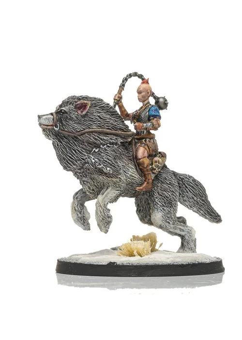 Store 2 — Shieldwolf Miniatures