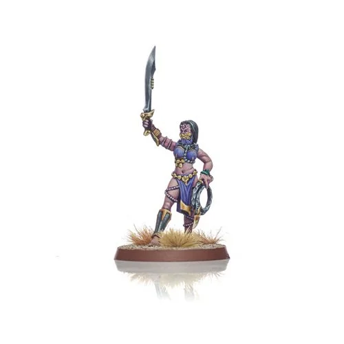 Araves Sorcerer B — Shieldwolf Miniatures
