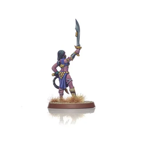 Araves Sorcerer B — Shieldwolf Miniatures
