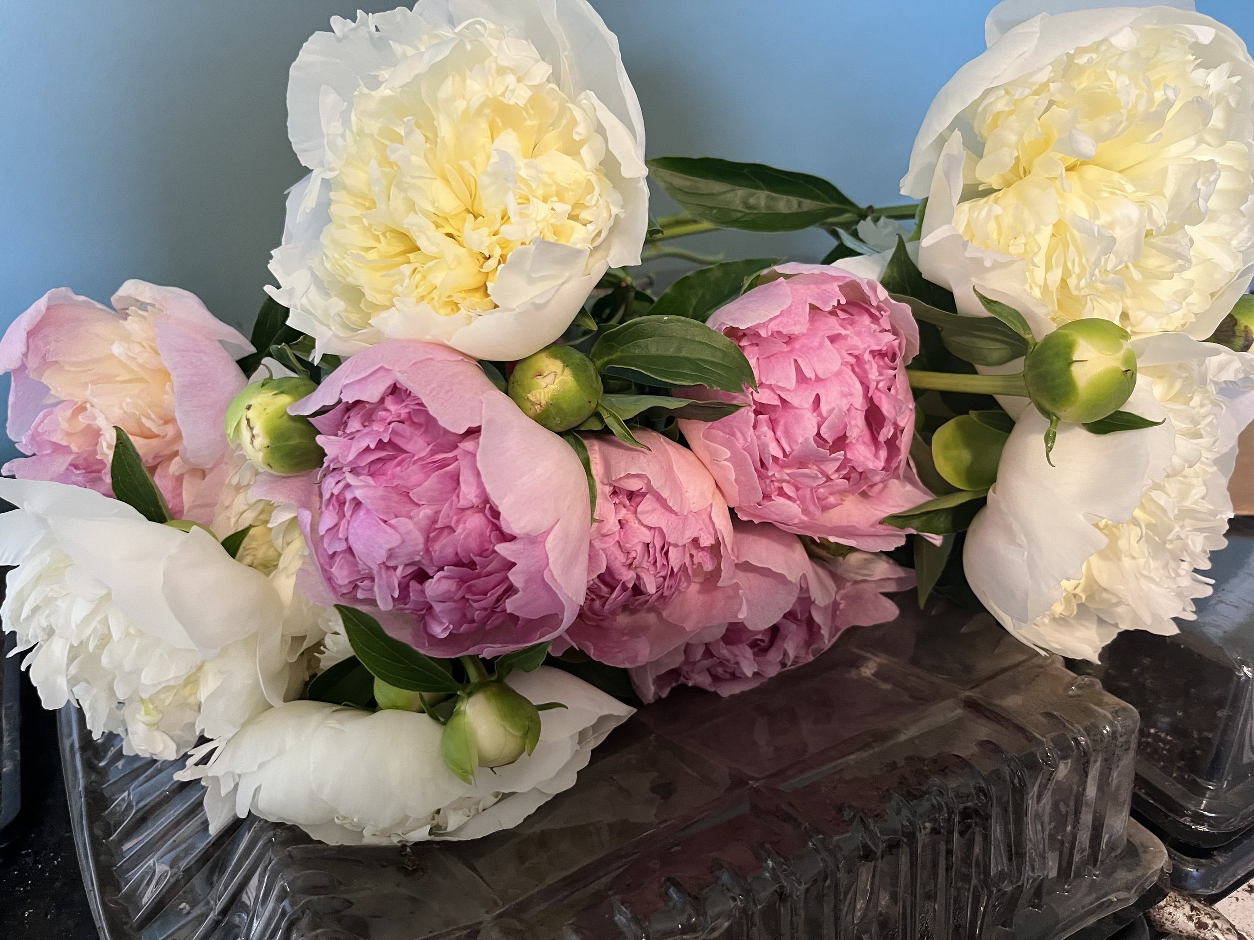 Why Grow and Buy Local Flowers for your home or flower shop? — Abundant ...