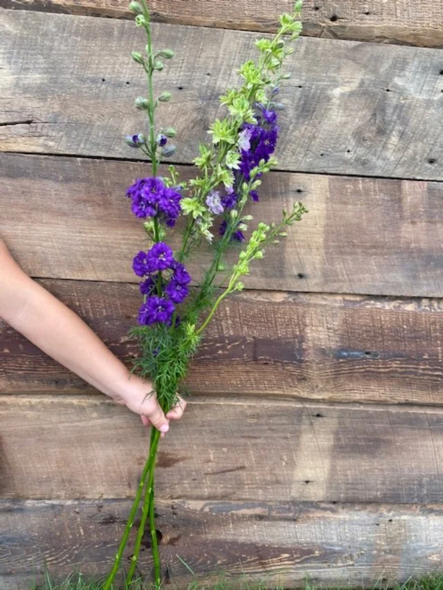 Cool Flowers — Abundant Blooms Flower Farm