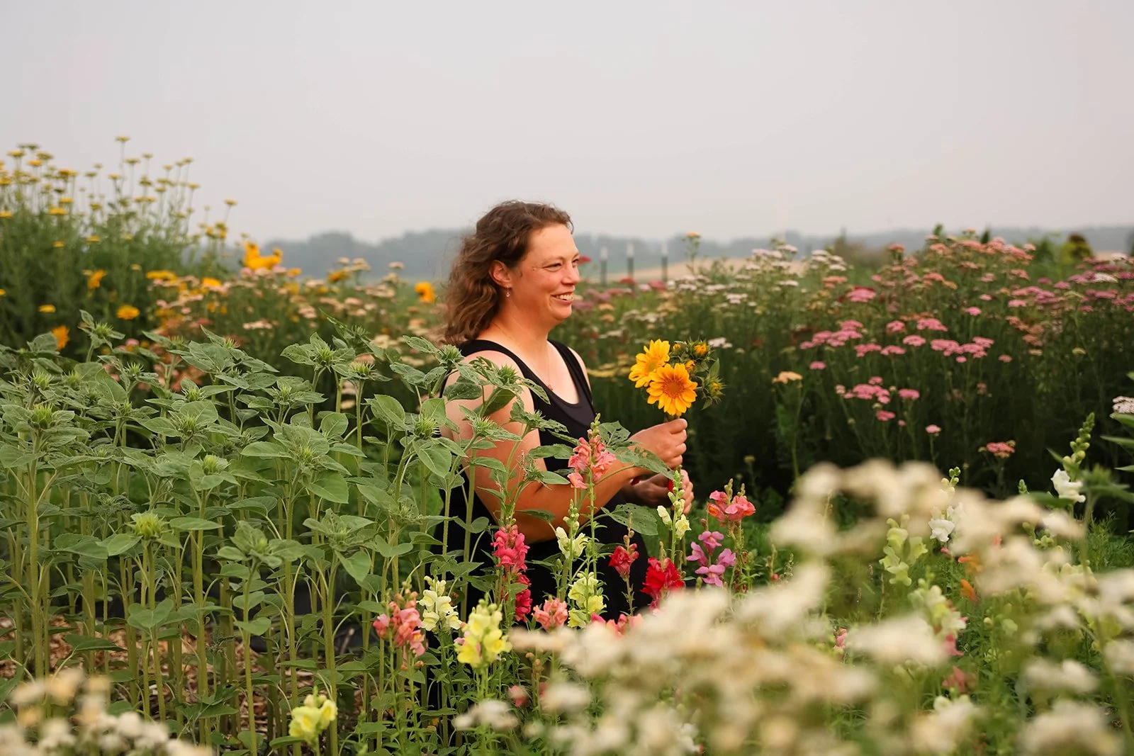 Abundant Blooms Flower Farm | Dorr, MI