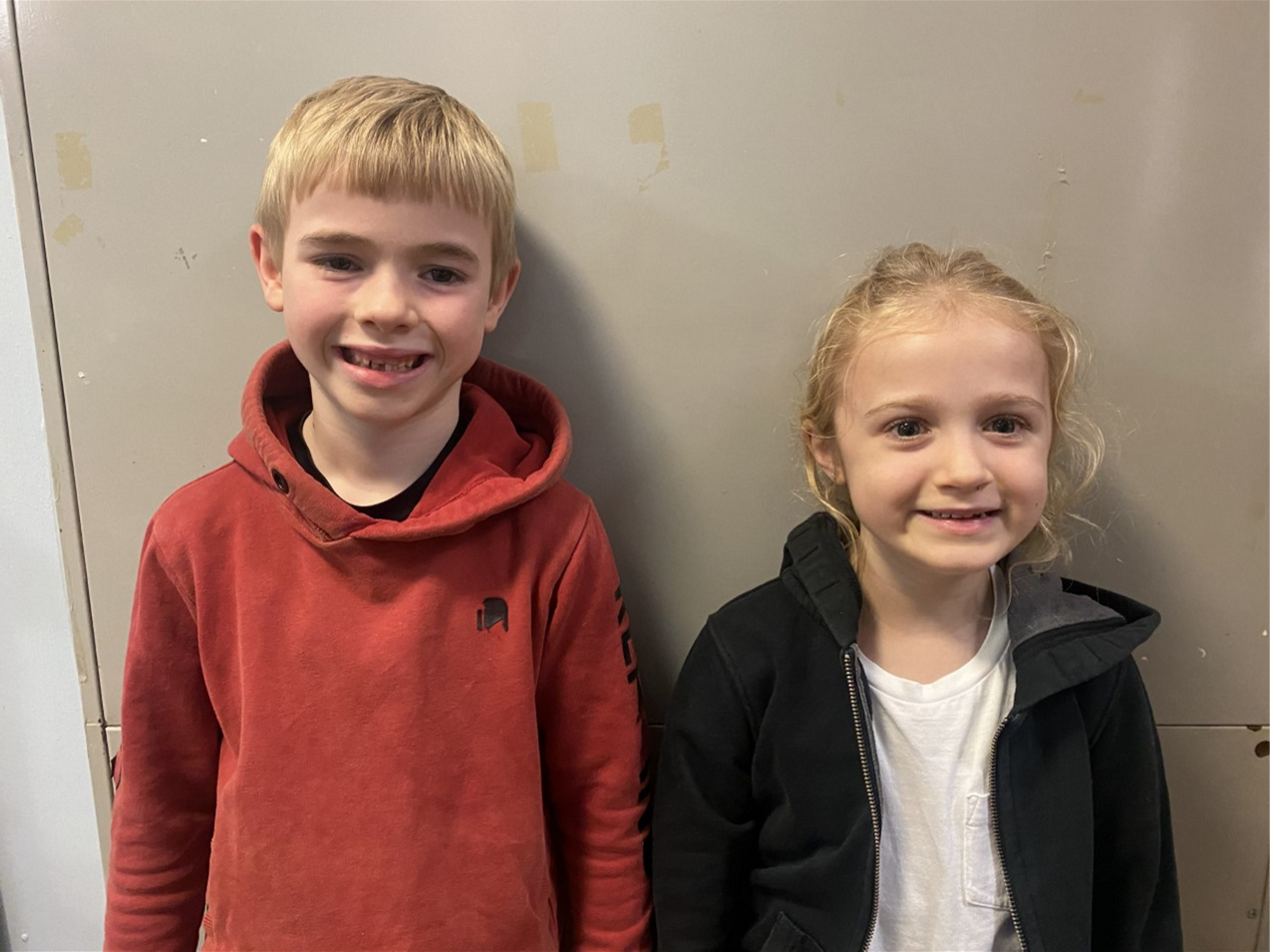 School Committees — Ysgol Derwenfa