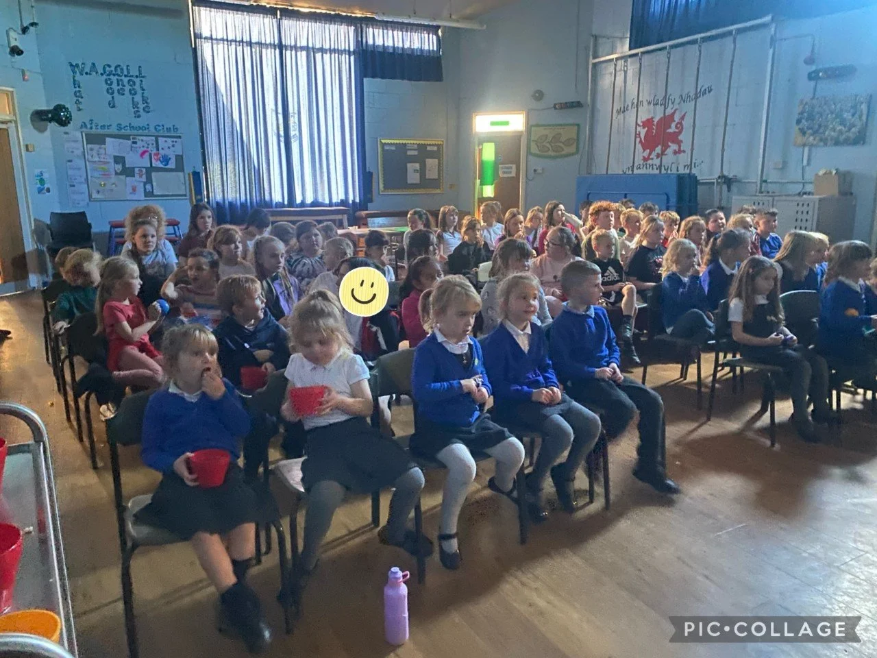 School Committees — Ysgol Derwenfa