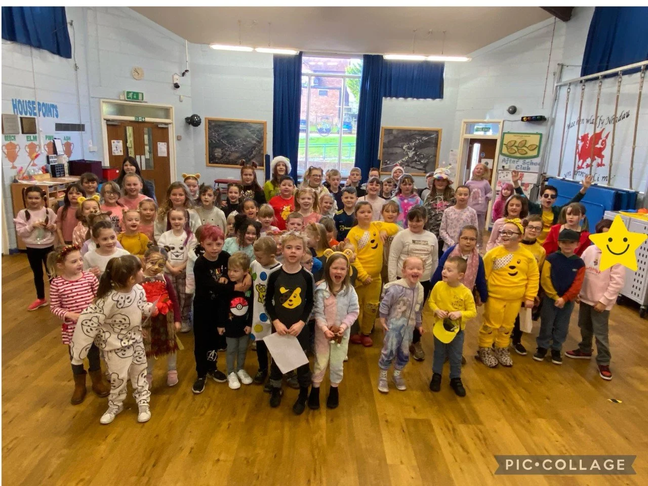 School Committees — Ysgol Derwenfa