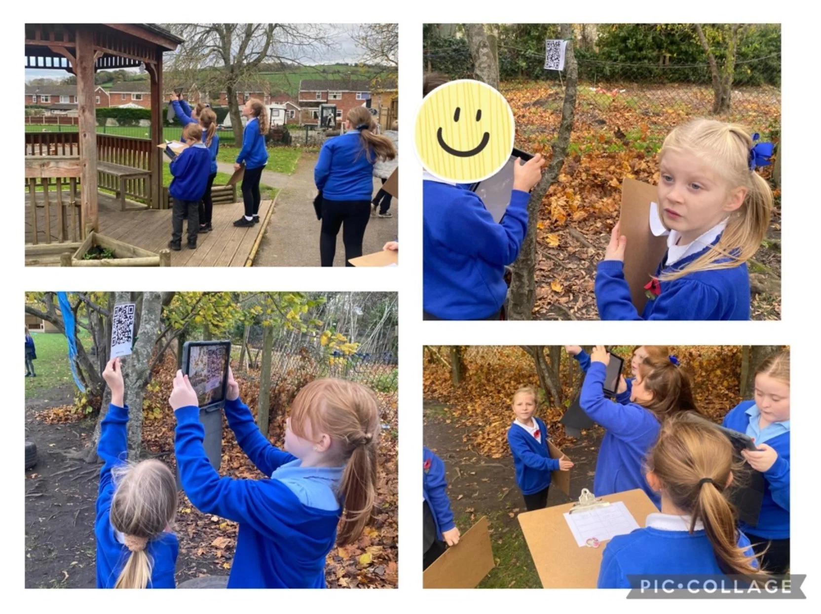 Year Groups — Ysgol Derwenfa