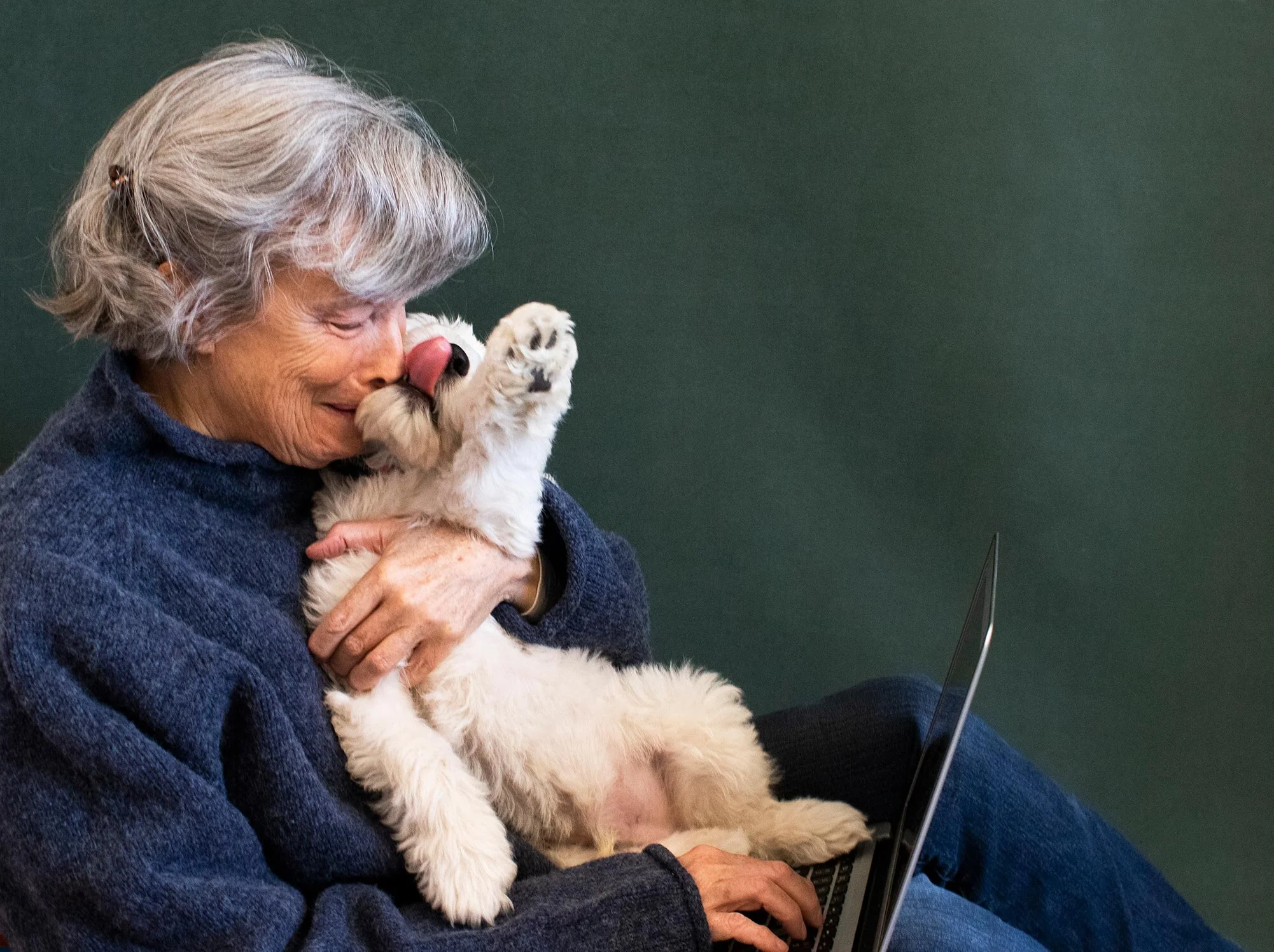 Jeanne Birdsall – Children's Book Author