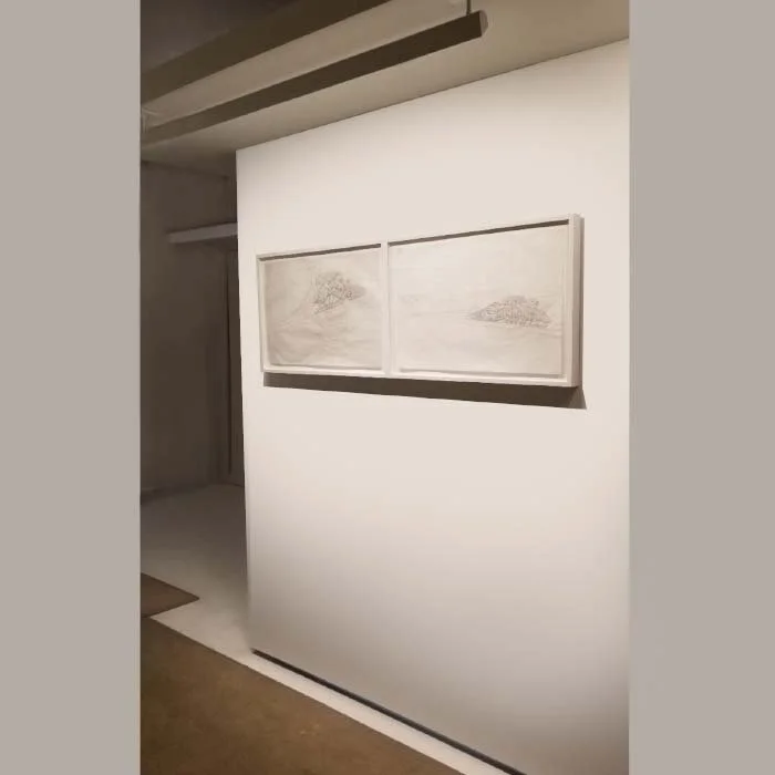 WW03 WG Wall Grazer — MODULIGHTOR