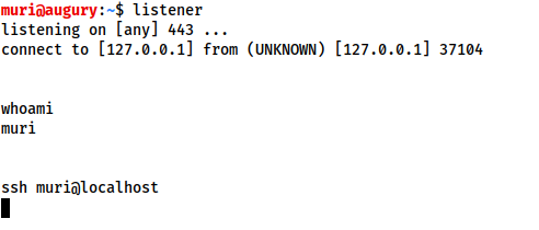 What the Shell? TryHackMe Complete Walkthrough — ComplexSec