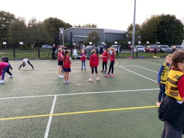 Bee Netball — Footloose Netball Club