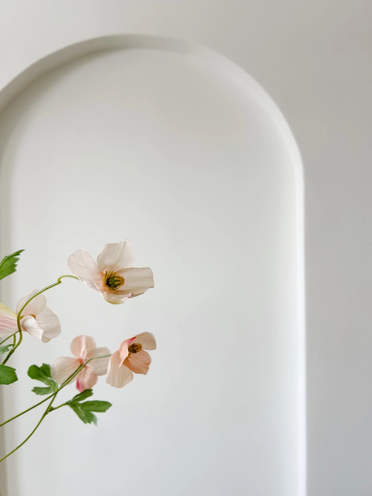 PEACH STUDIOS PHOTOGRAPHY - Book Sunday Sunday Studio