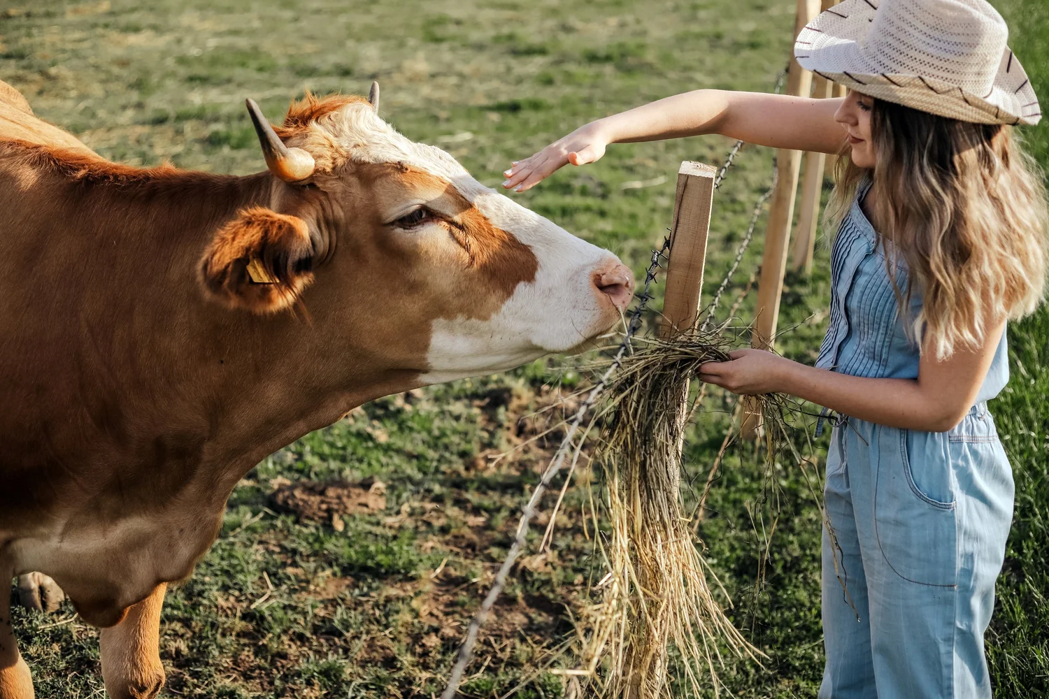 Harford County Farm Fair