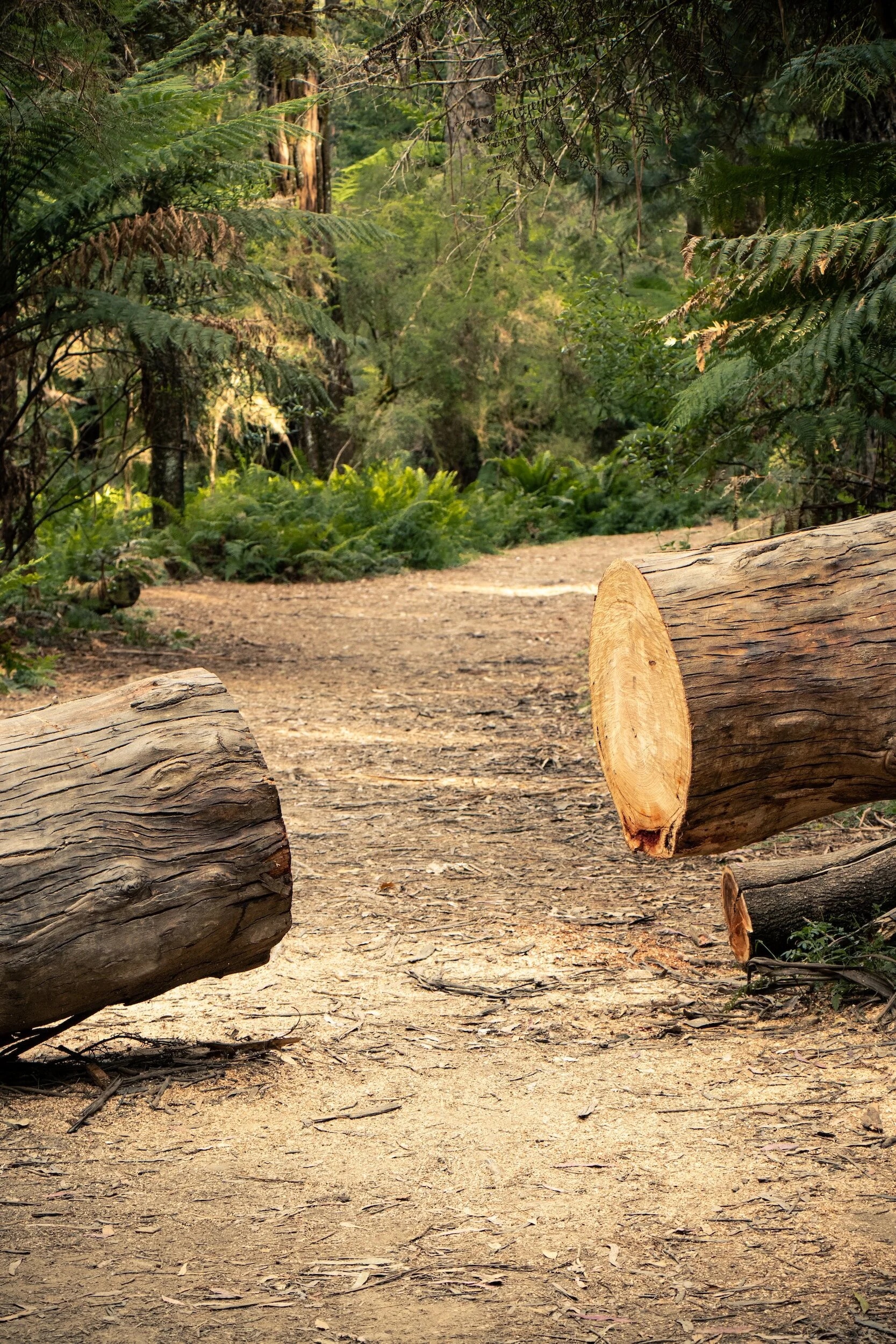 Blog 2 — Emma Andrews