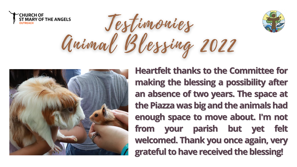 Animal Blessing at St Mary's — Church of St Mary of the Angels, Singapore