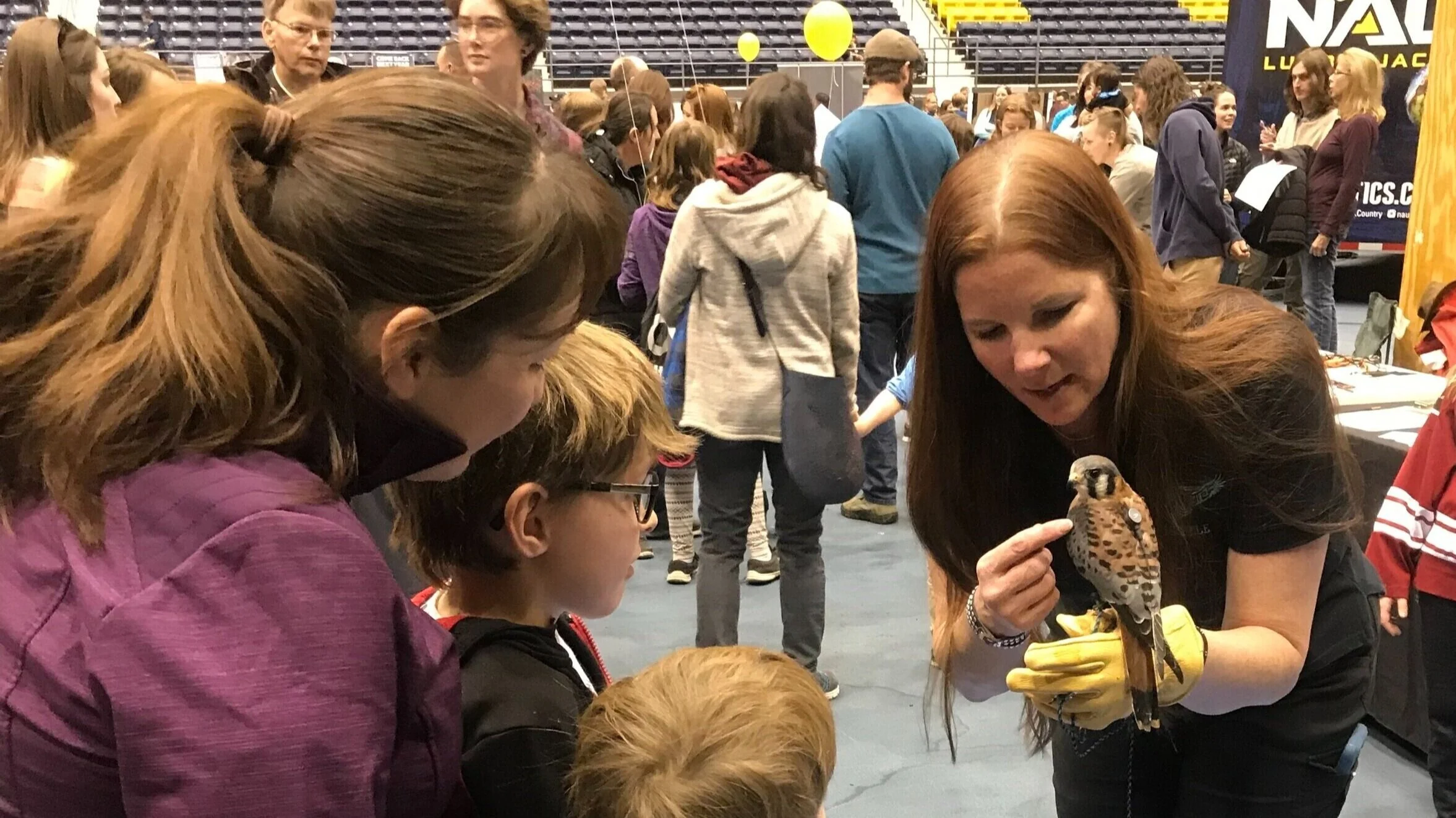 International Raptor and Falconry Center