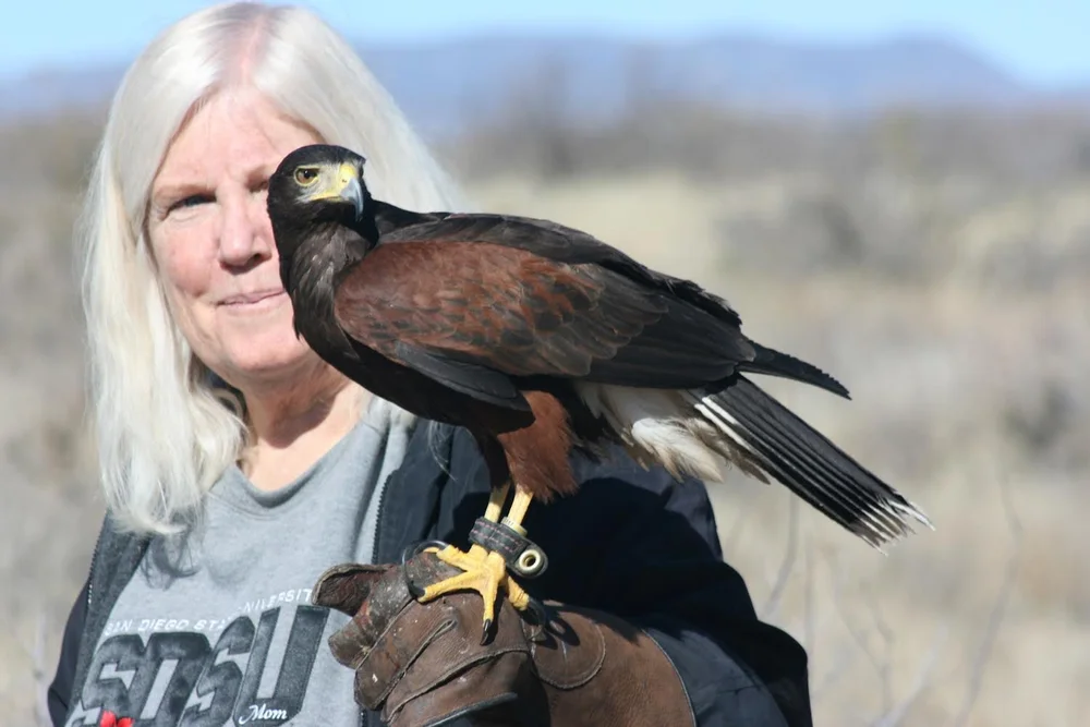 International Raptor and Falconry Center