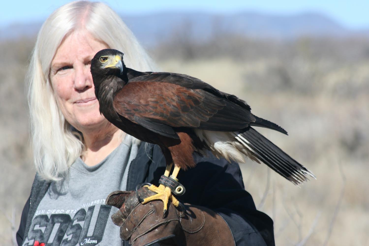 International Raptor and Falconry Center