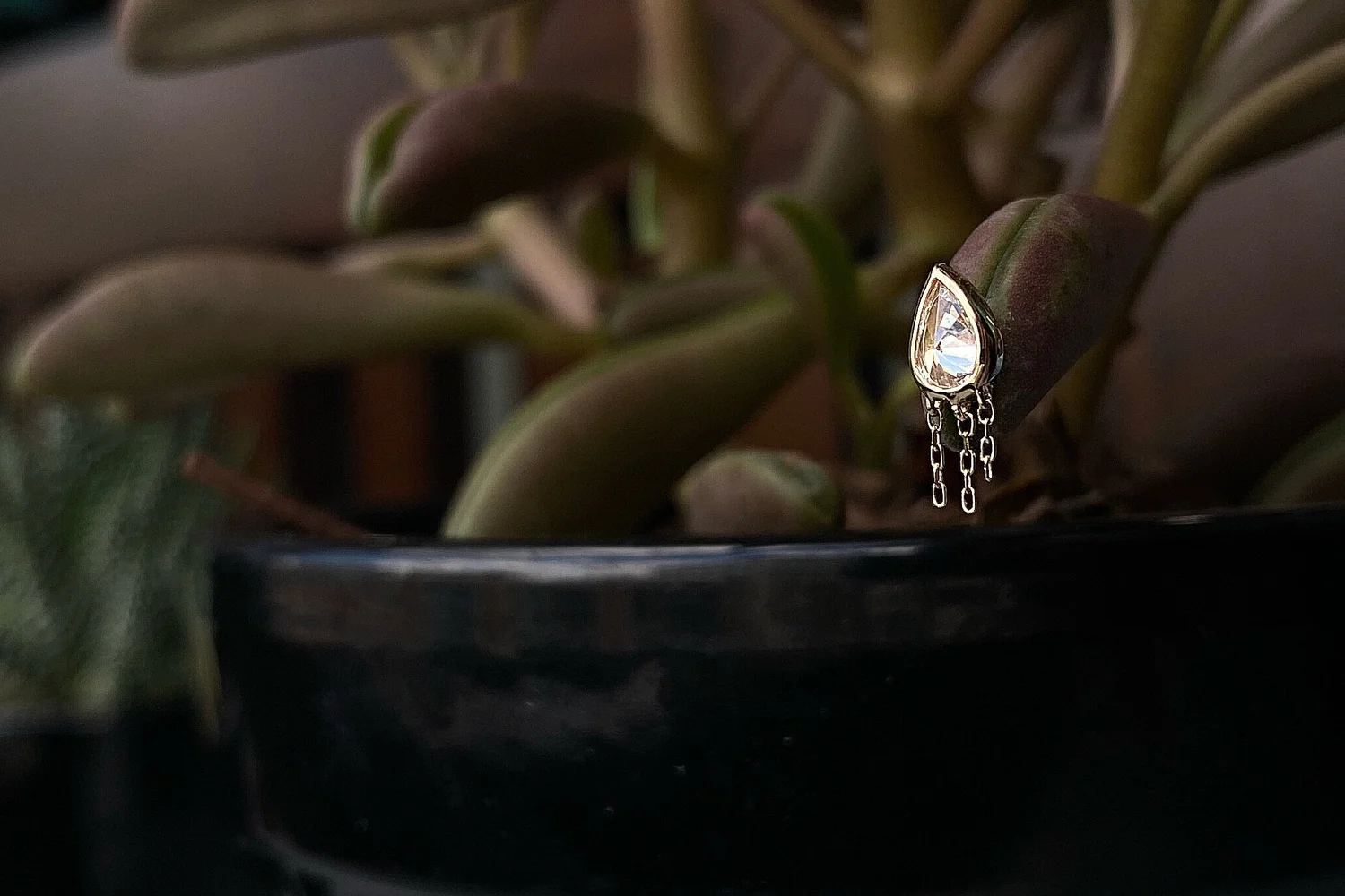 Arcadia Professional Body Piercing