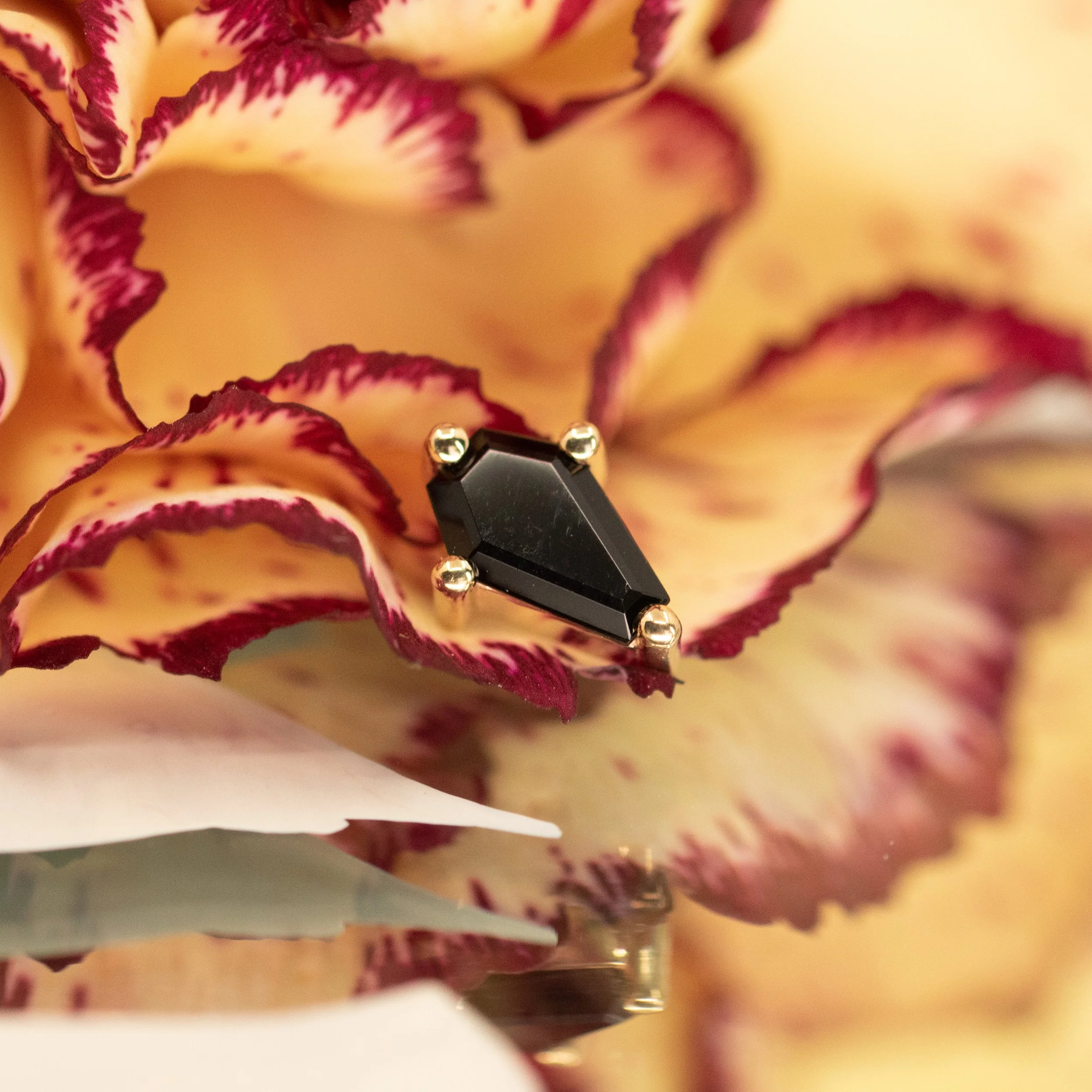 Arcadia Professional Body Piercing