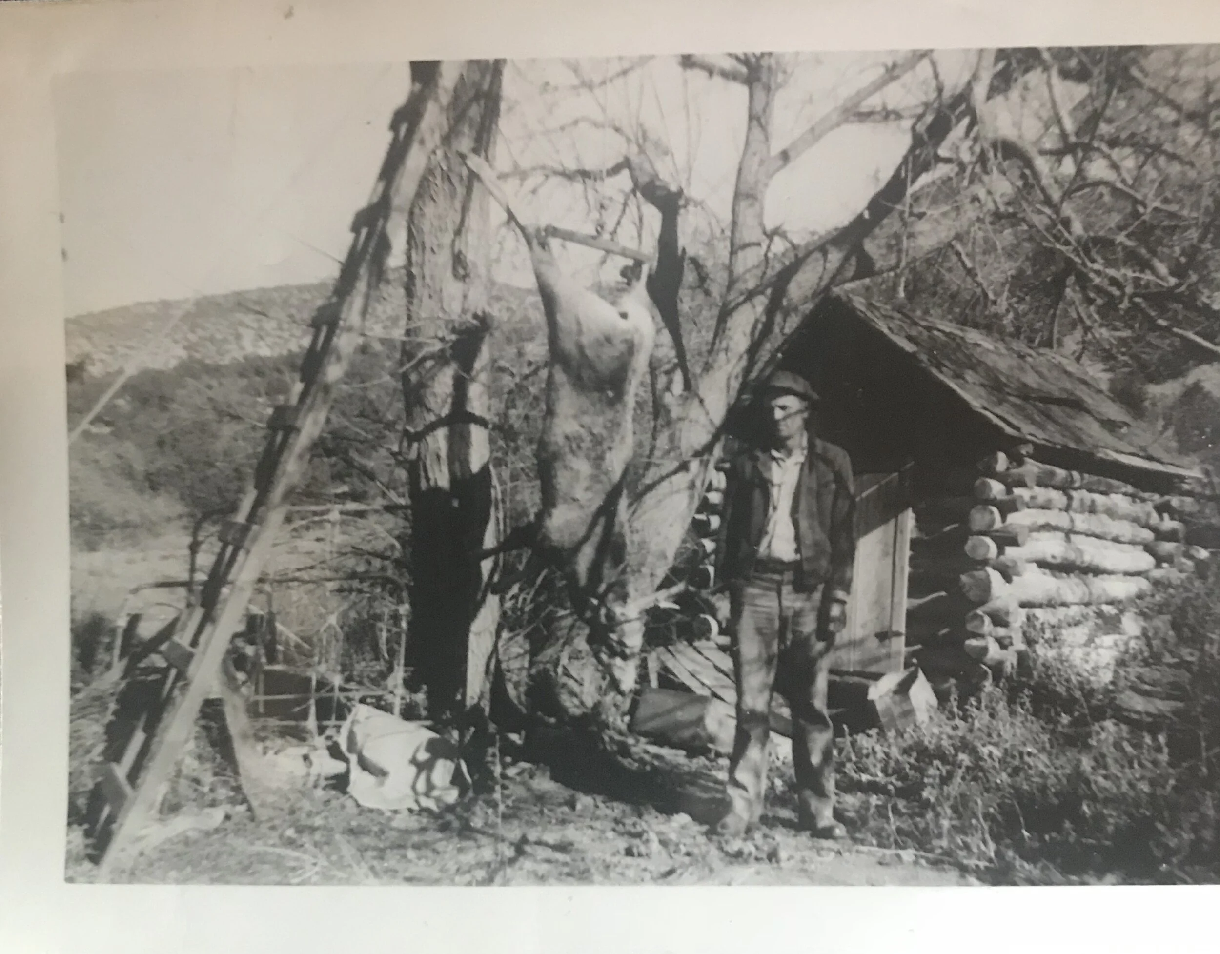 Our Story — Nichols Ranch and Orchards