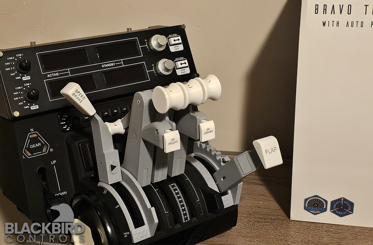 Make Your Sim Experience Fly Higher with Blackbird Controls