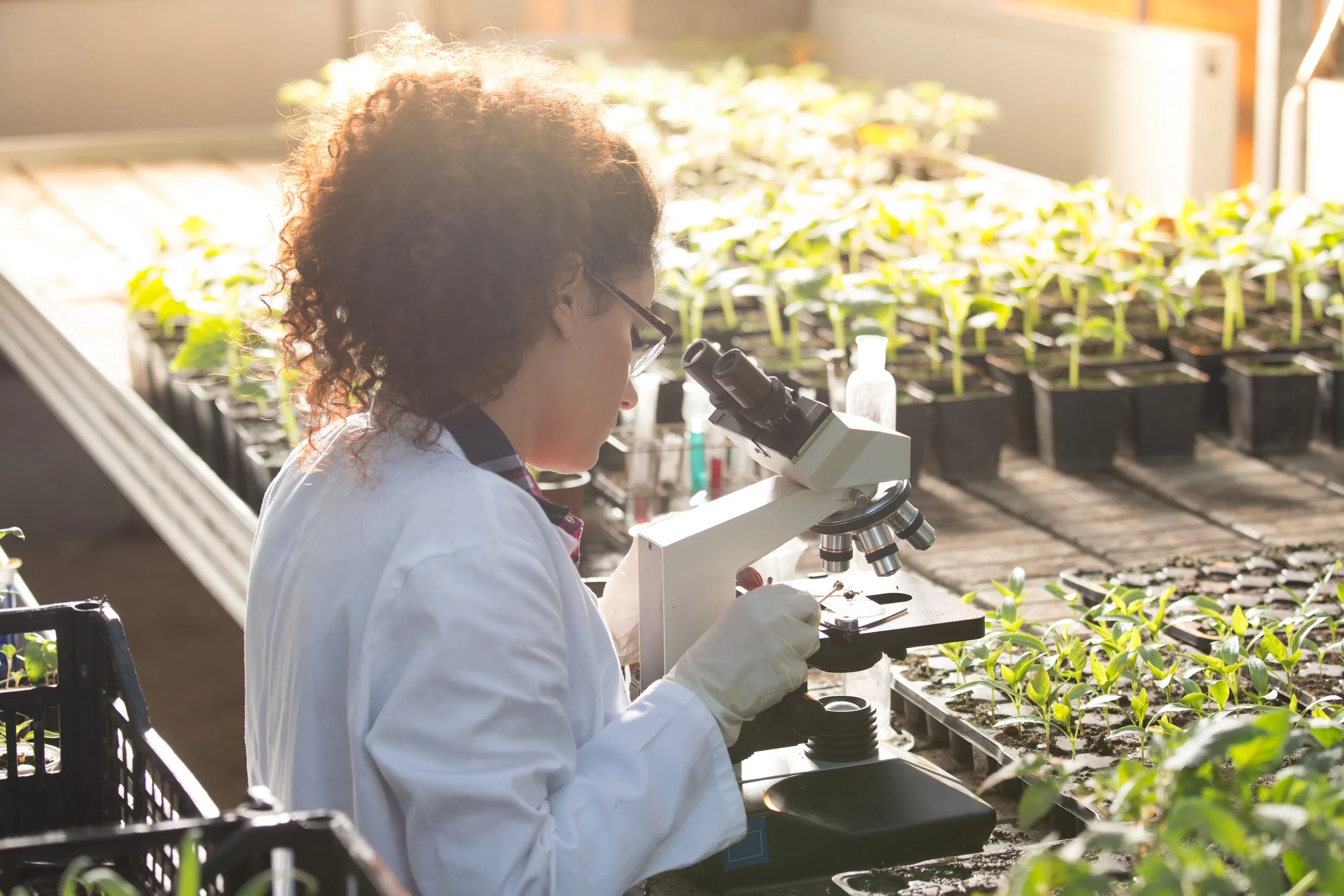 American Biotechnology Association