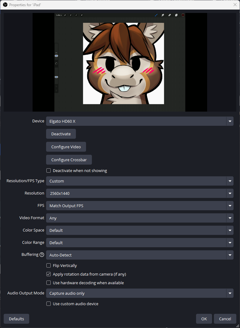 How To Stream Your iPad — art of azeldraws