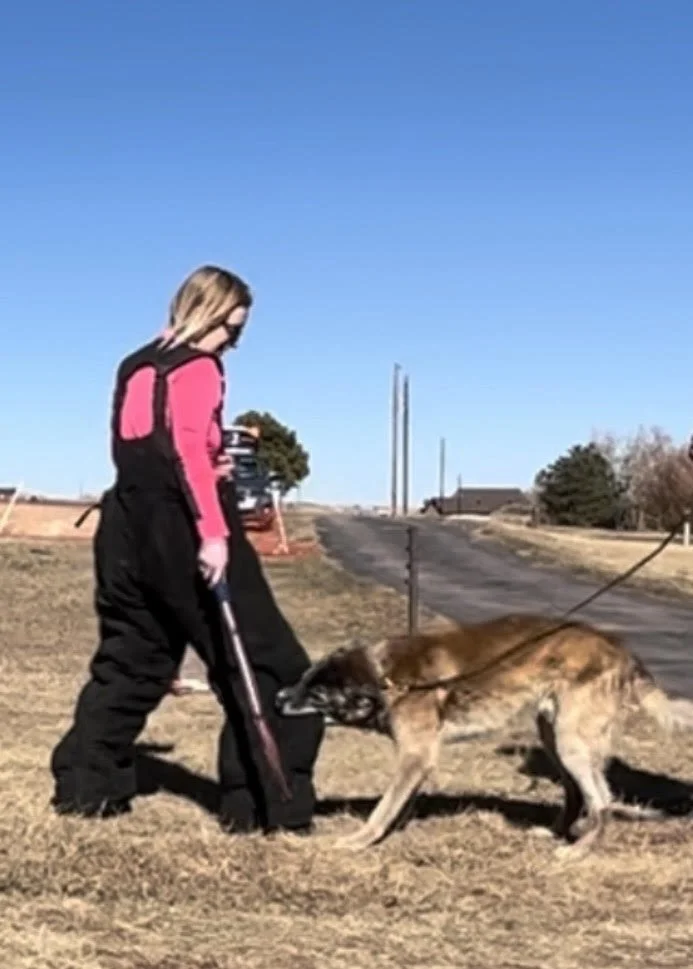 Meet the Team — Black Forest Dog Resort