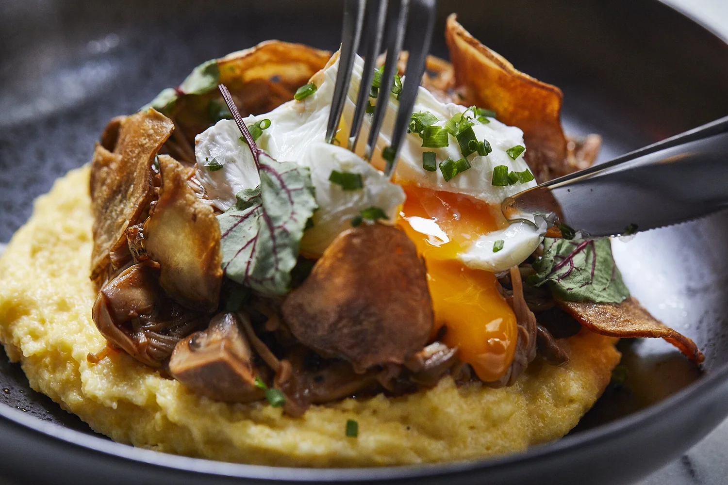 GALLERY — Ten Square Cafe