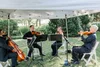 Top 50 Modern Songs for String Quartet: The Ultimate Wedding Playlist ...