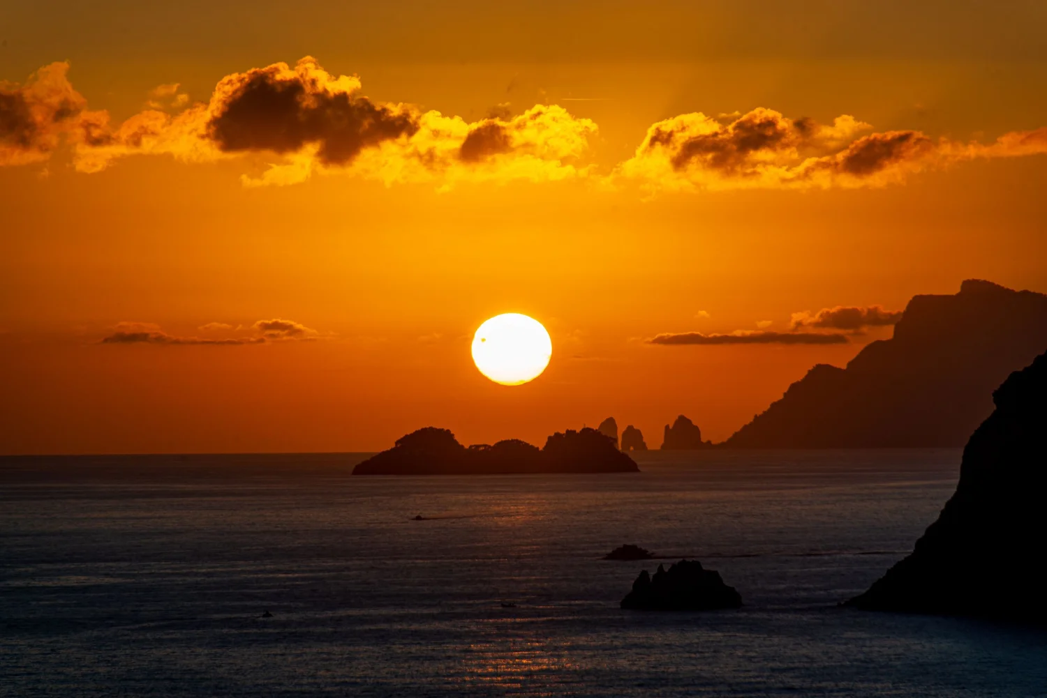 IN THE WINDOWS: Sarah Fishbein & Mike DeSantis — Atlantic Highlands ...