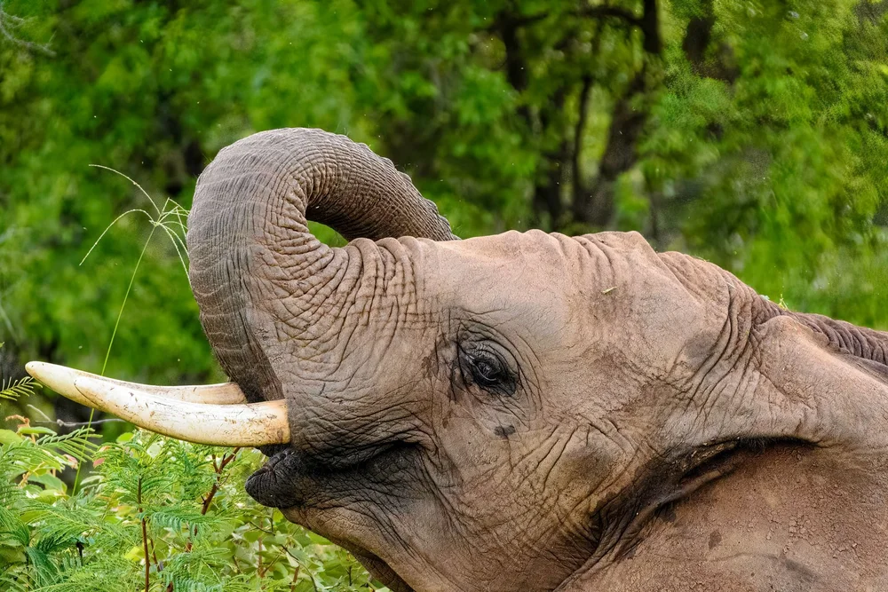 IN THE WINDOWS: Sarah Fishbein & Mike DeSantis — Atlantic Highlands ...