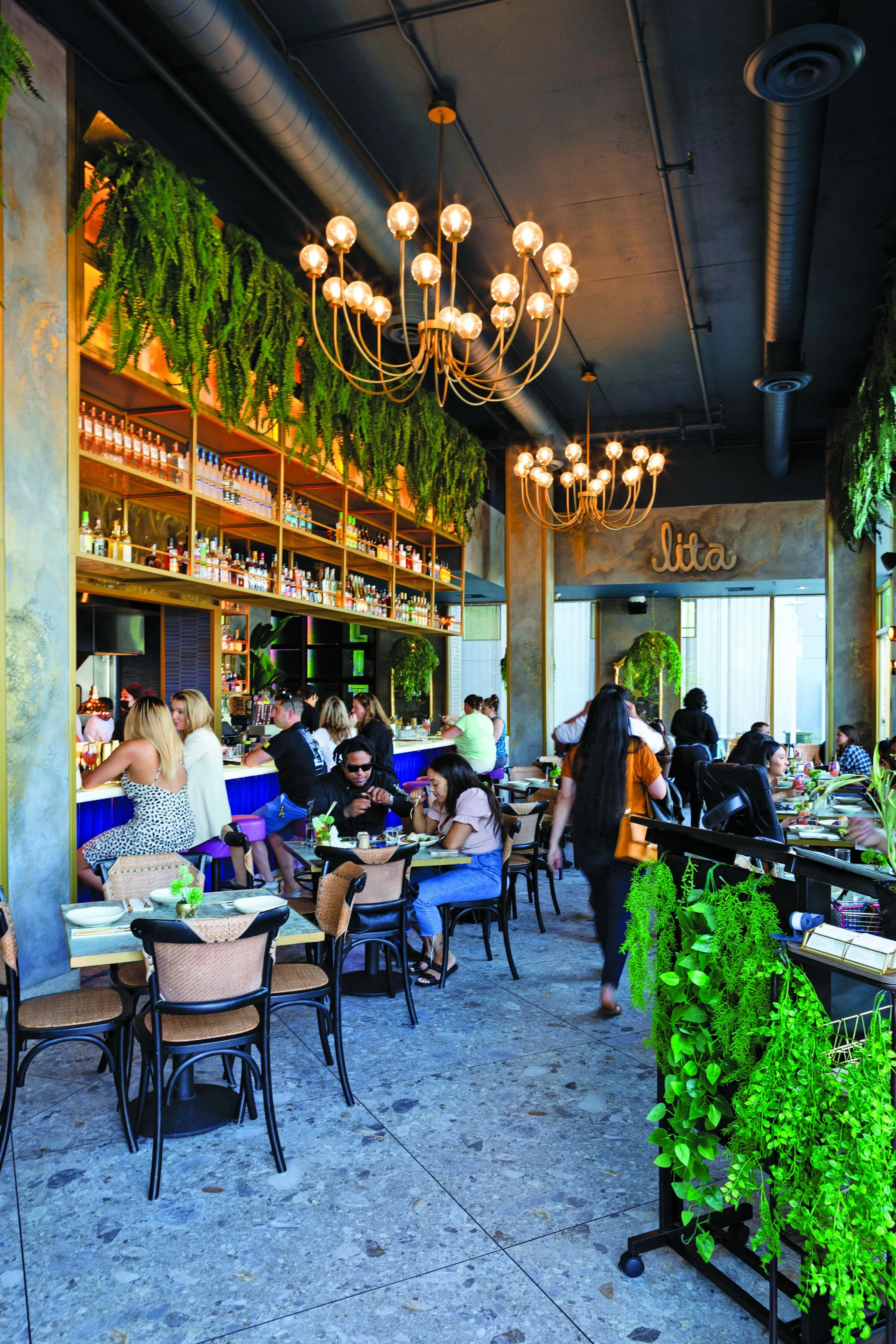 Walnut Creek | Discover Walnut Creek Today!