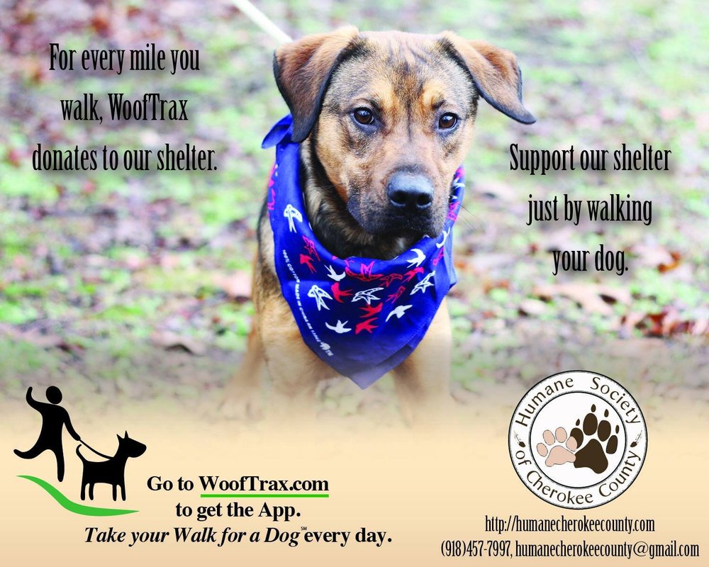 Ways to Support — Humane Society of Cherokee County