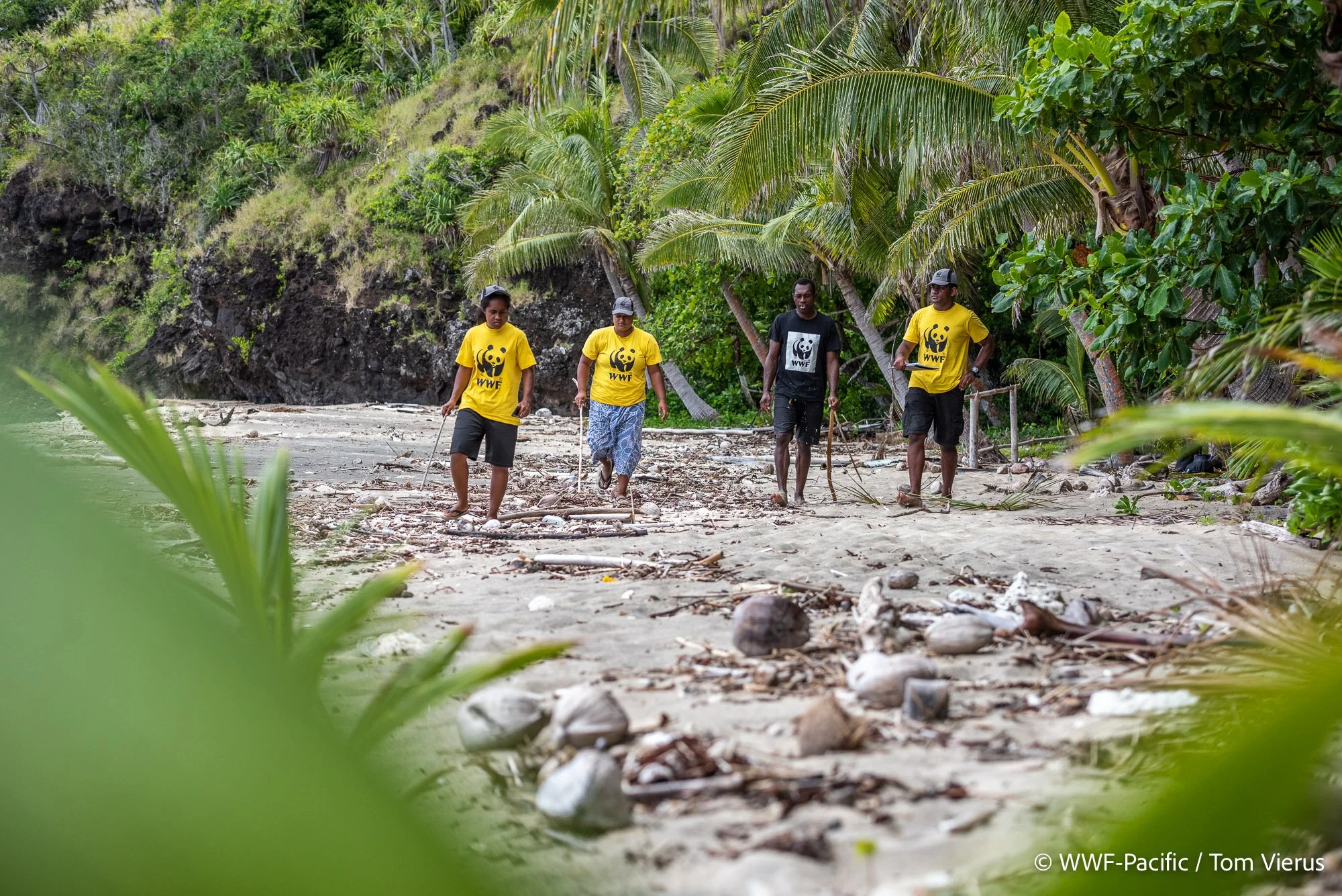 WWF Turtle Monitoring around Dravuni Island in Fiji — www.tomvierus.com