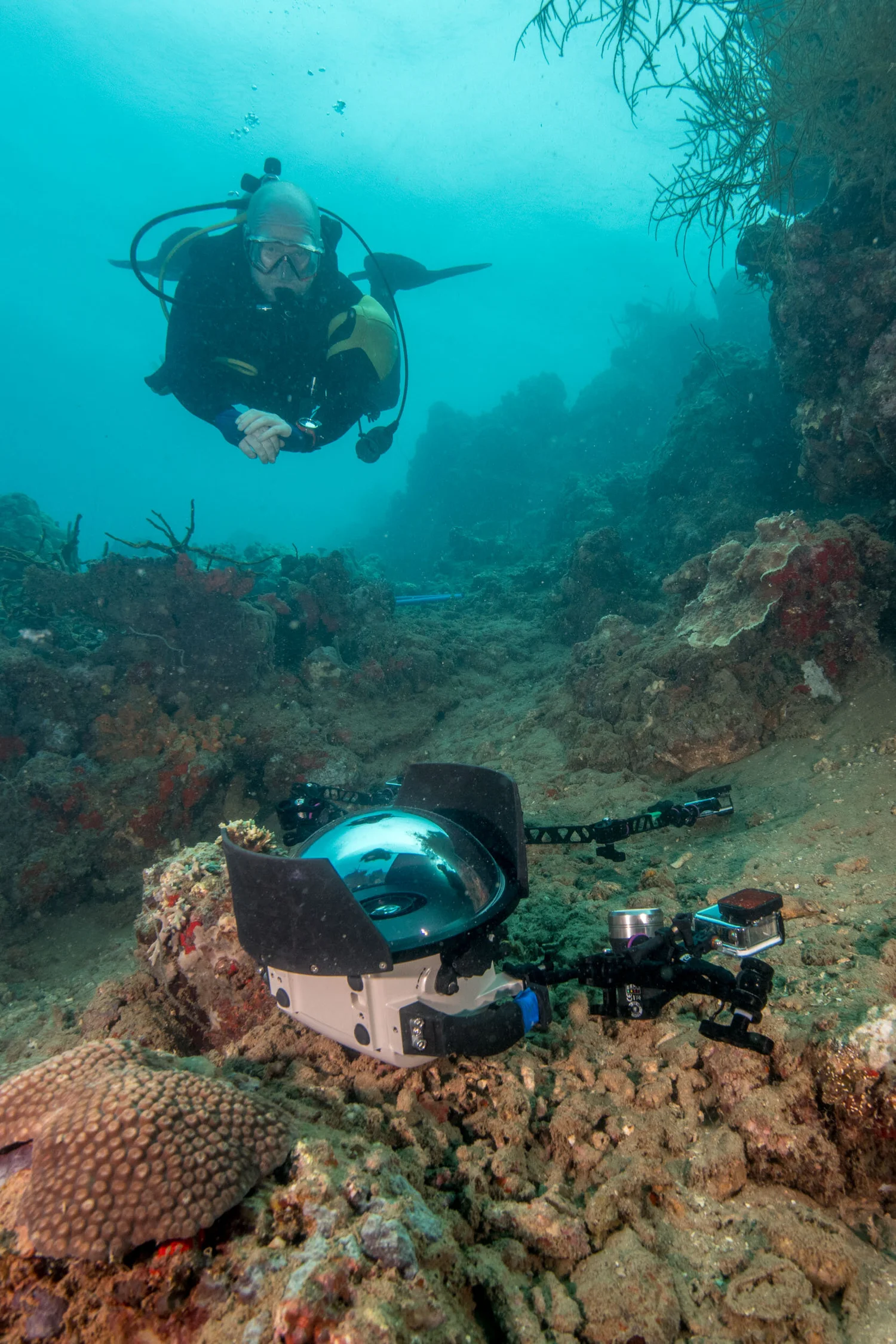 The Great Sea Reef in Fiji with WWF — www.tomvierus.com