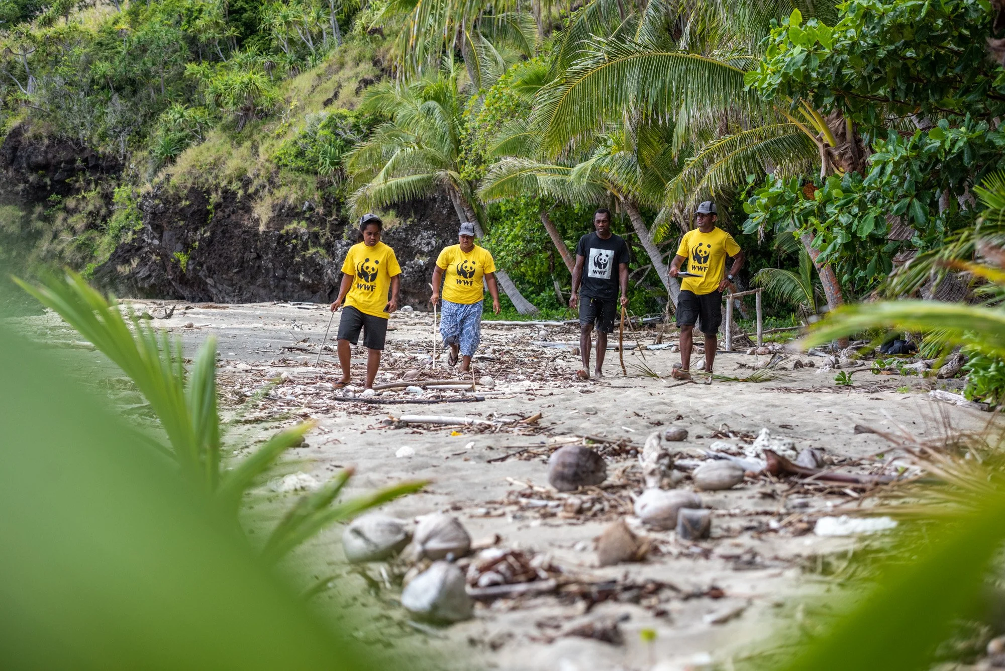 WWF Turtle Monitoring Project in Fiji — www.tomvierus.com