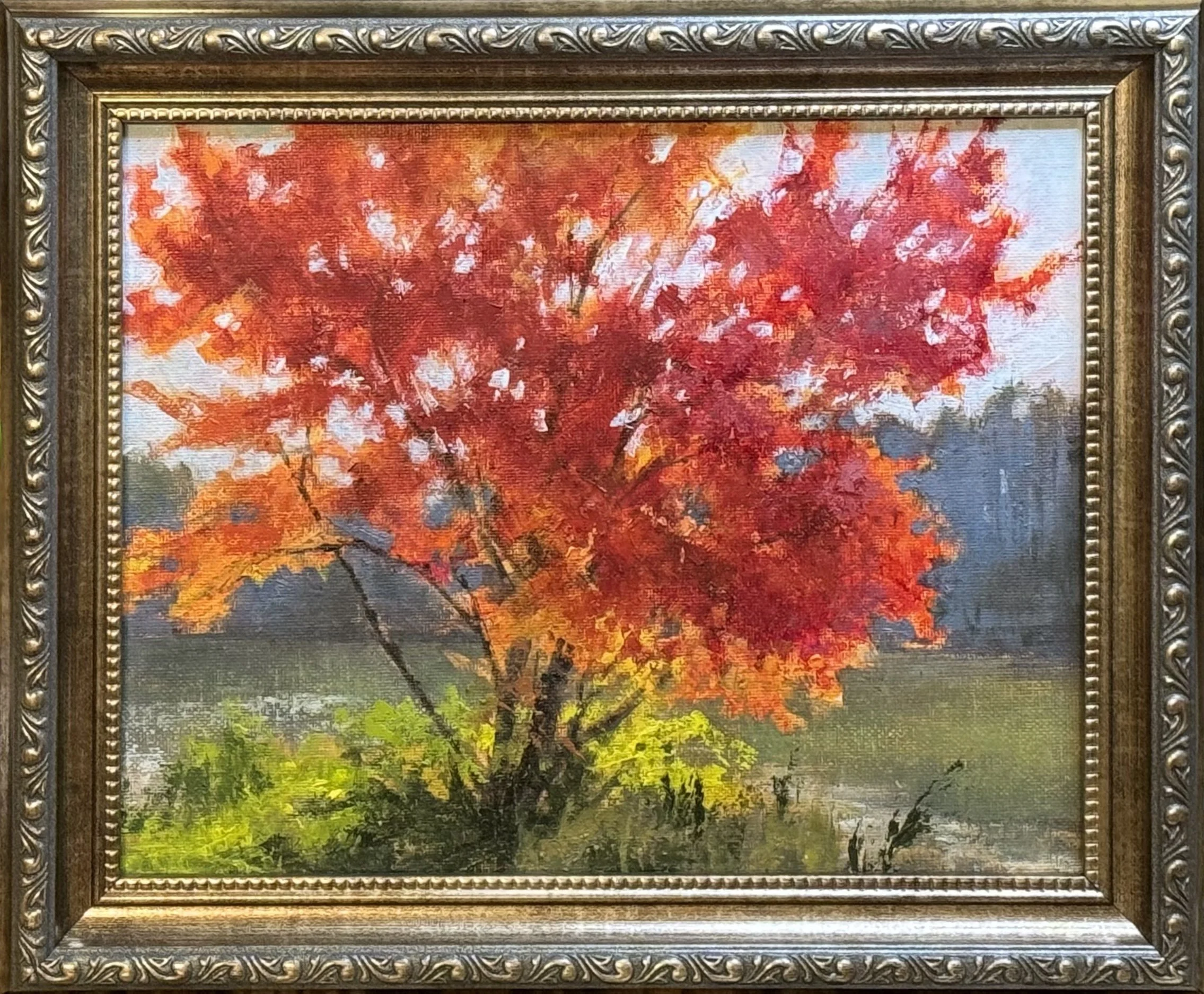 Shadow On Light — AAPL