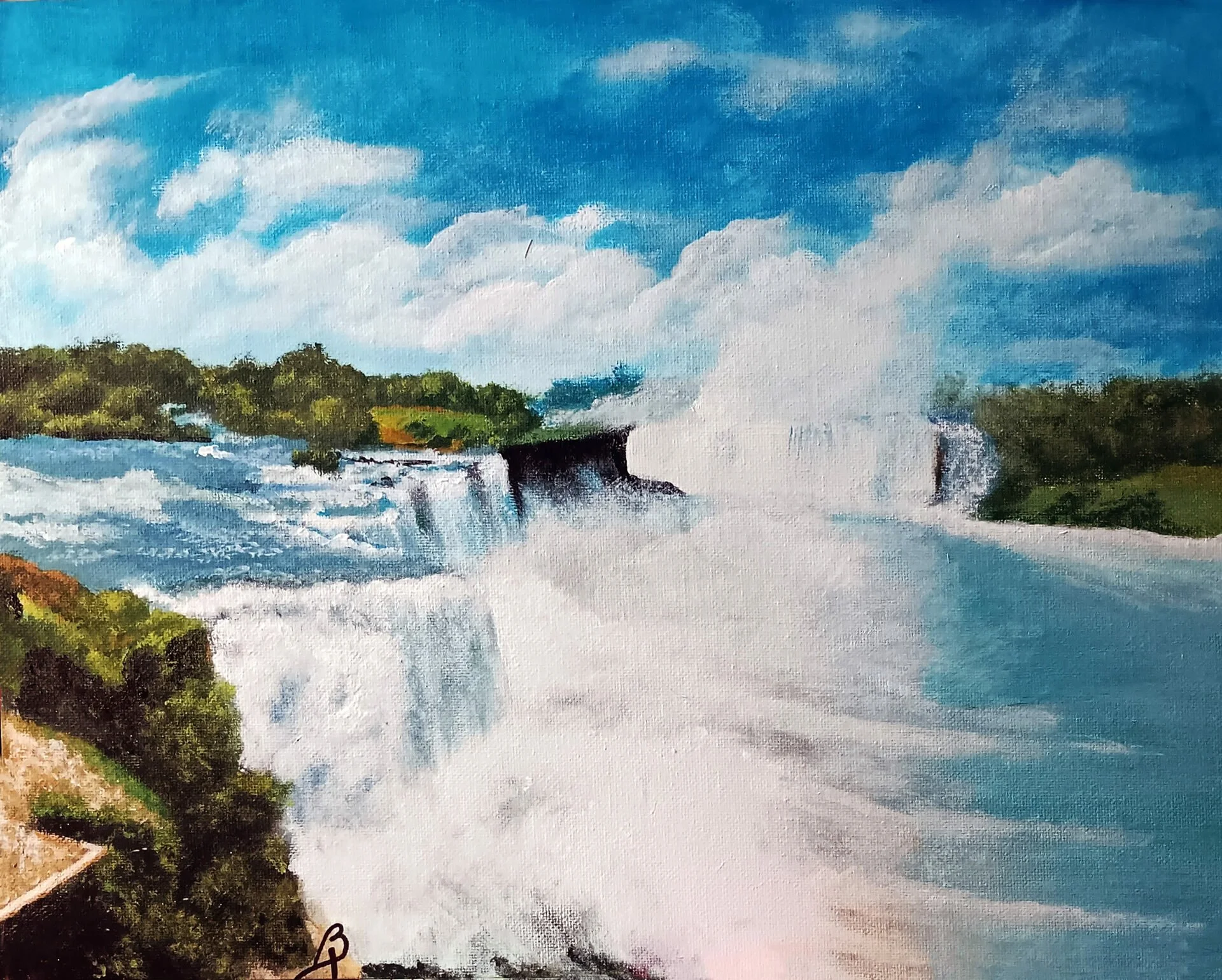 Niagara Falls Brenda F Porter AAPL's Artwork Store — AAPL