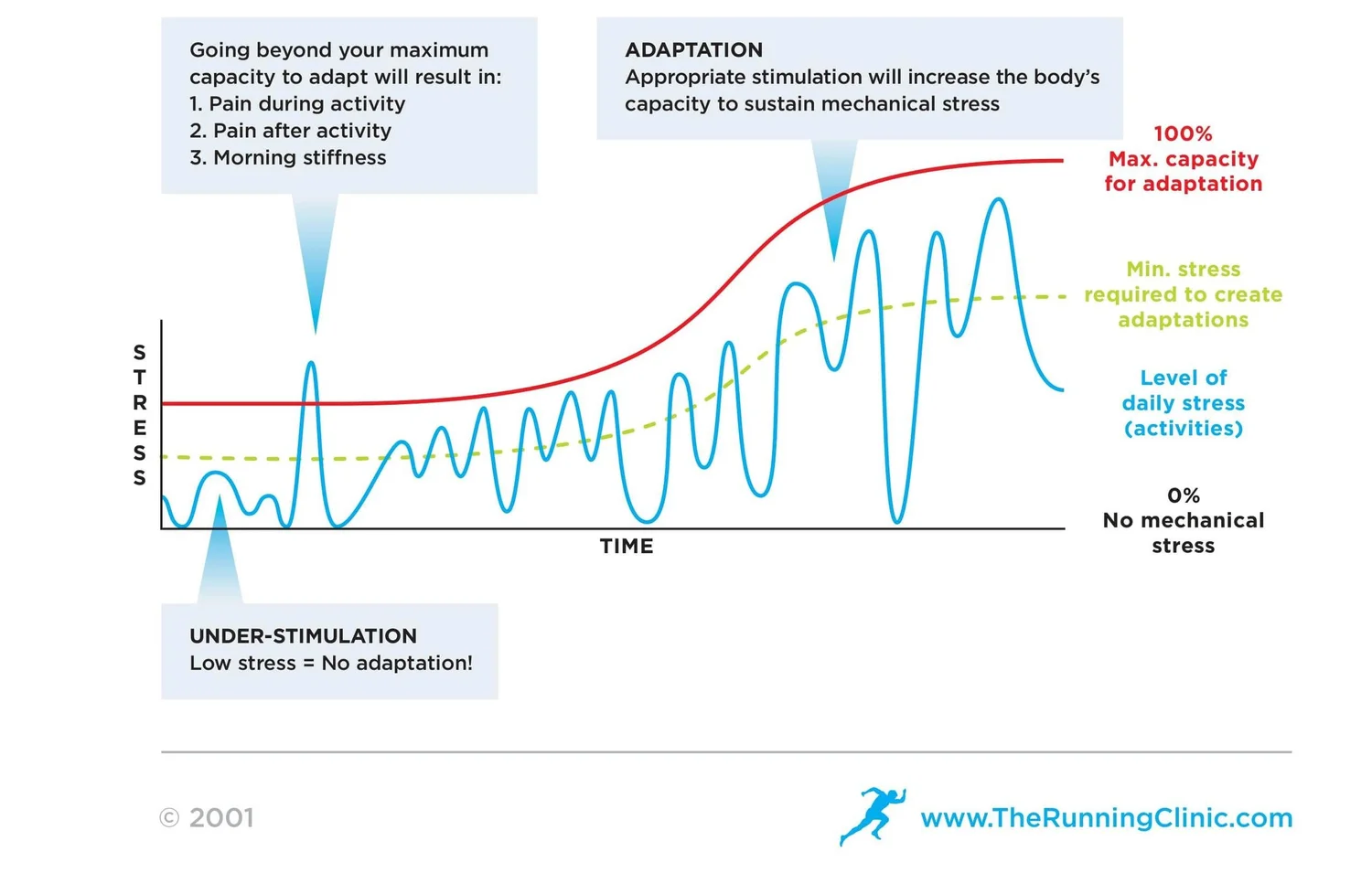How Often Should You be Running? — Shape Physio