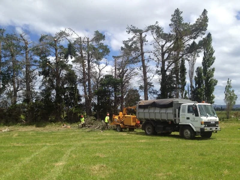 Our Services — Eco Tree Care Ltd
