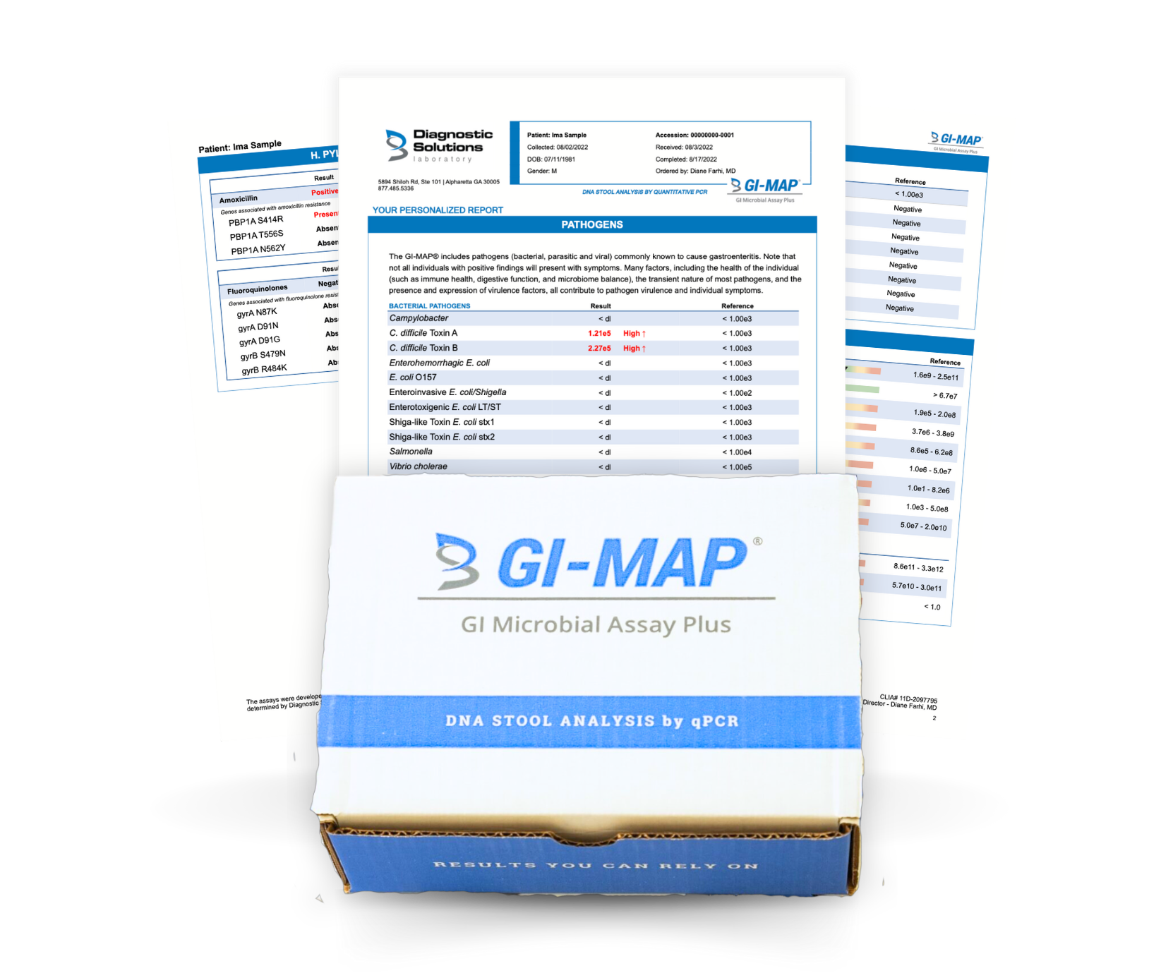 Gut Testing Package — Fran Dargaville Functional Nutrition