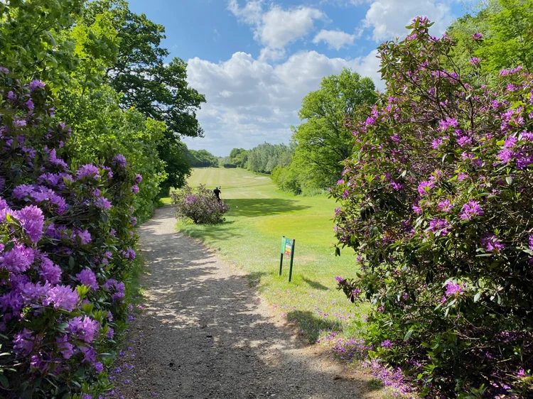 About 1 — Mill Hill Golf Club