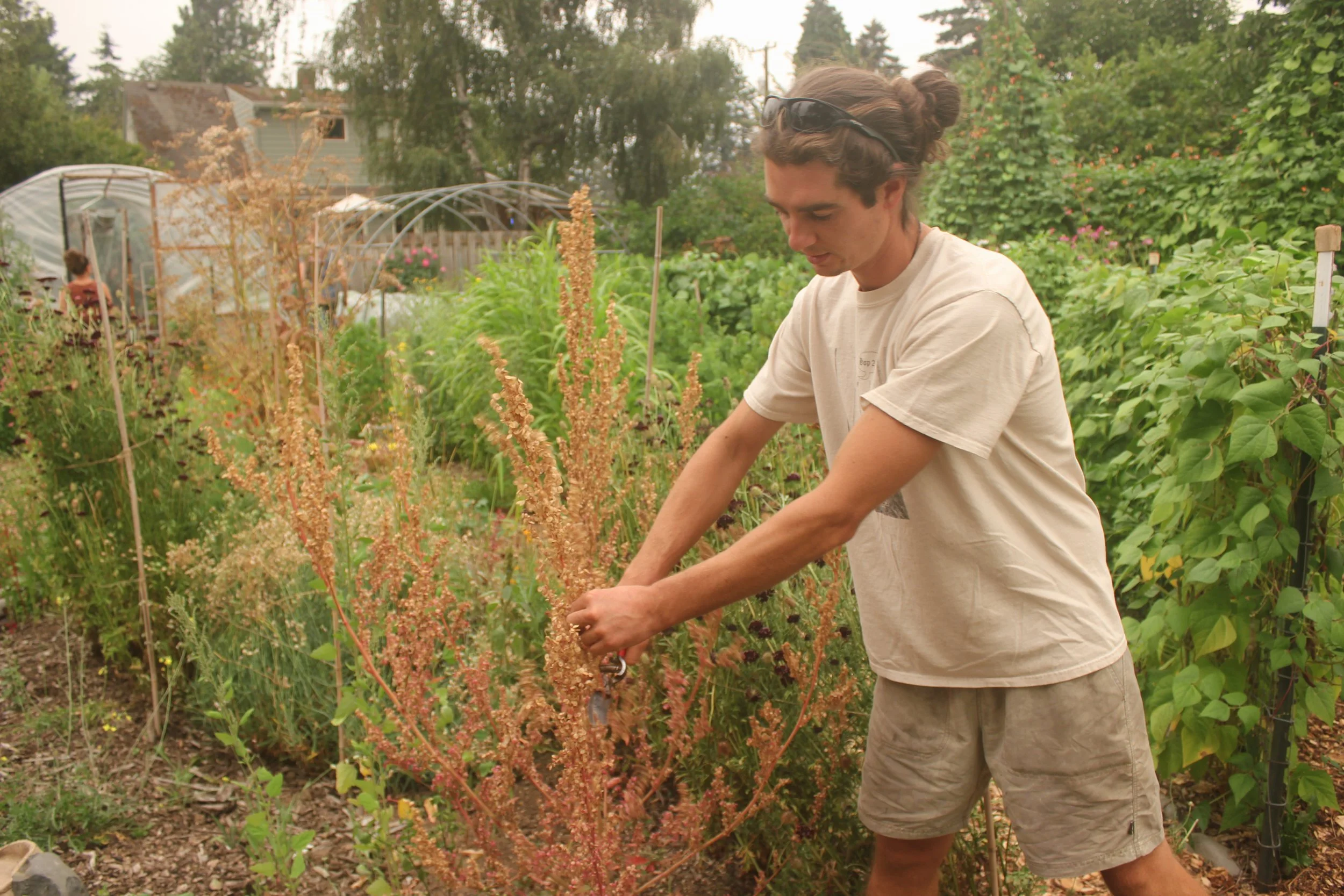 Team 1 — Rhythm Seed Farm