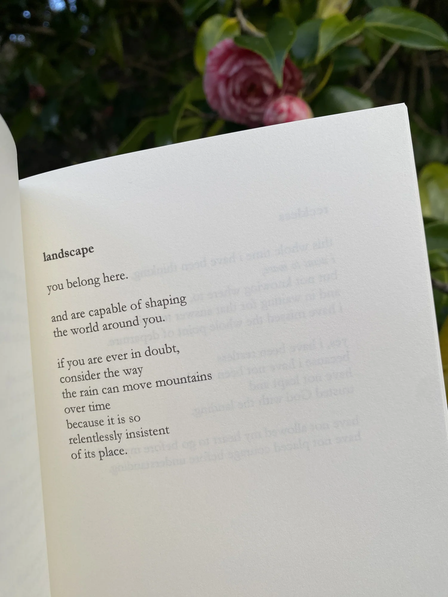 7 Meaningful Poems for Graduation Ceremonies, Cards, and Gifts — Rachel ...