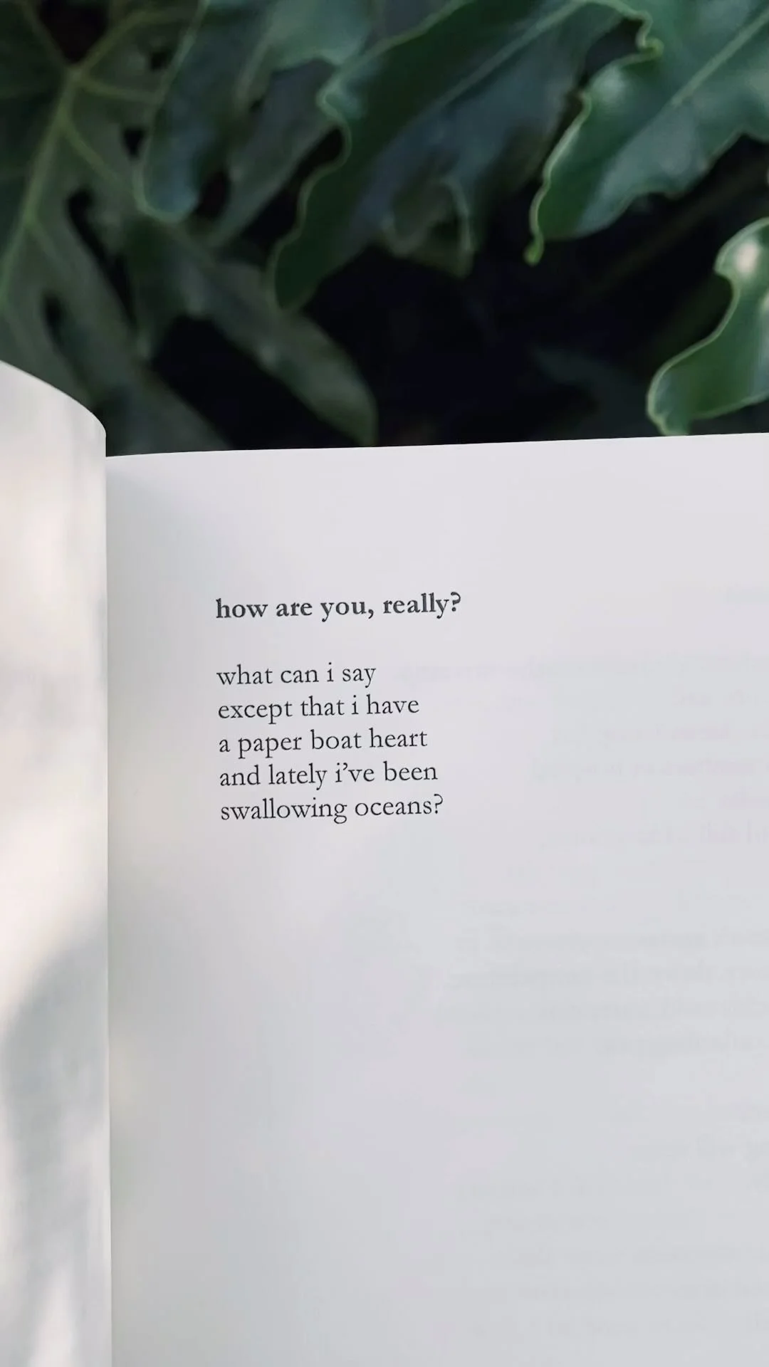 Rachel H | Poetry