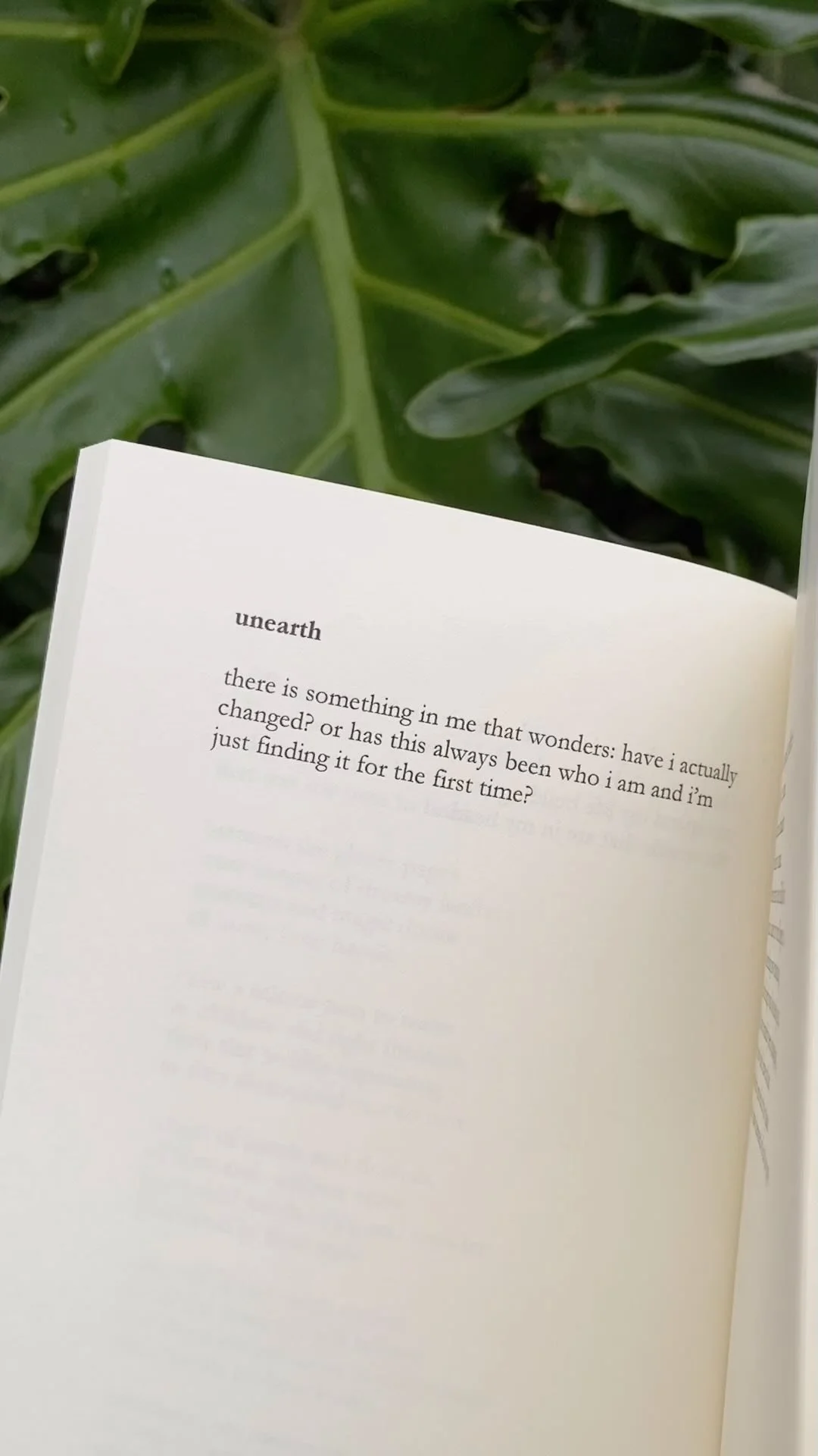 Rachel H | Poetry