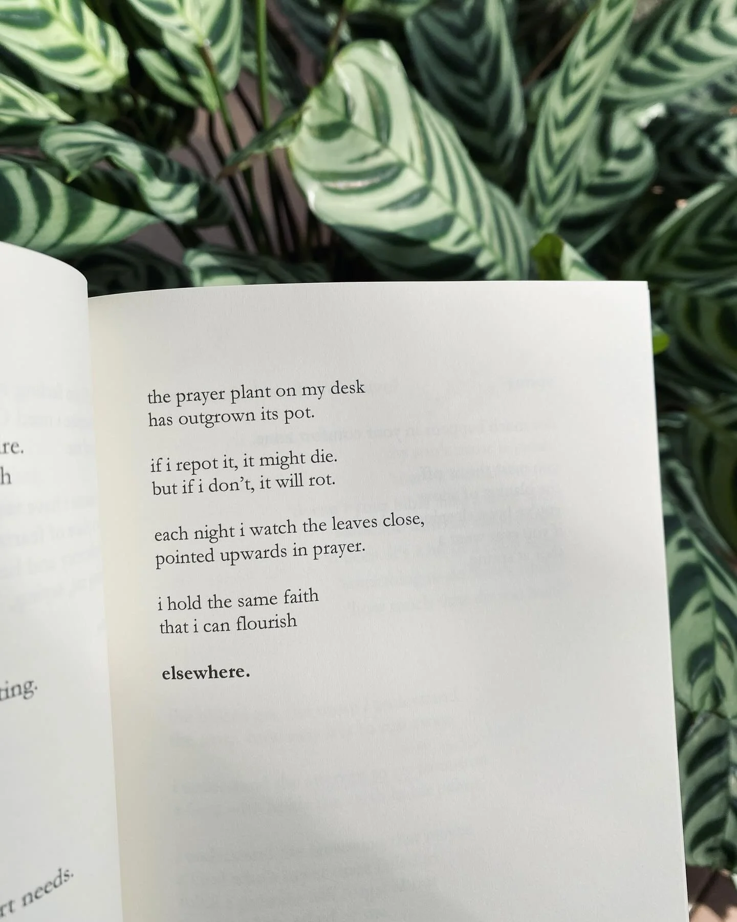 Rachel H | Poetry