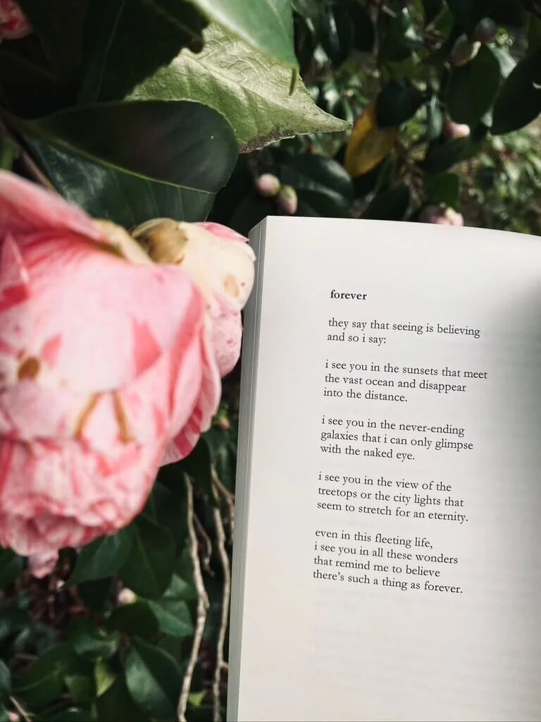 Fleeting Things | Poetry Book on Love and Healing by Rachel H